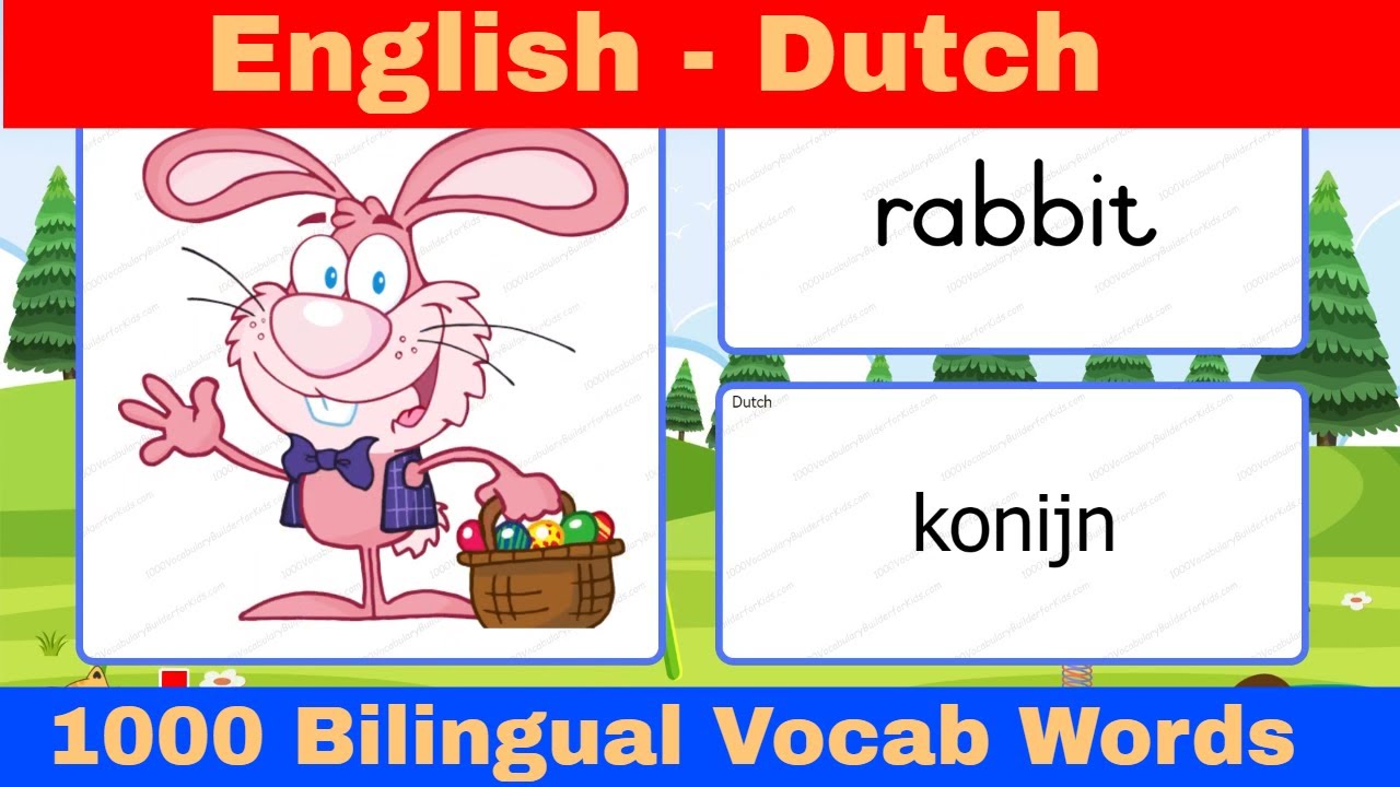 Grammatica Cartoons Jouw NT2 А1 Pronomen POSSESSIEF Mijn Jouw Zijn
