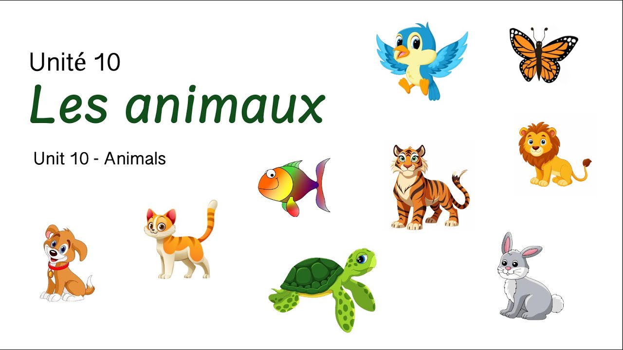 French Genius Unit 10 - Les animaux (Animals) - YouTube
