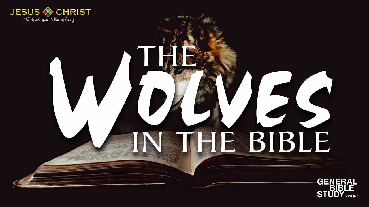 The Wolves In The Bible (Part 1) - General Bible Study (May 4, 2023 ...