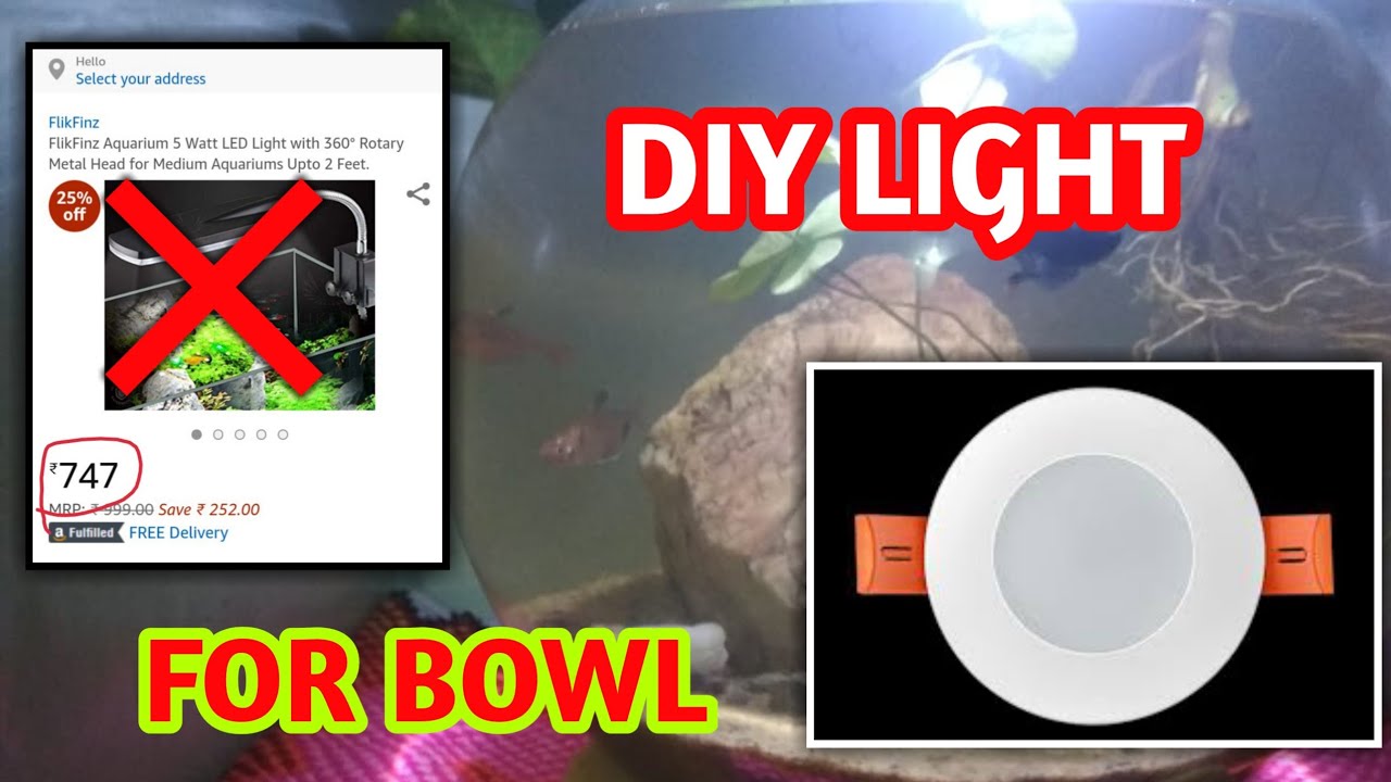 Best Light for Bowl..DIY Light for Bowl..PLANTED BOWL Easy and Cheap ...