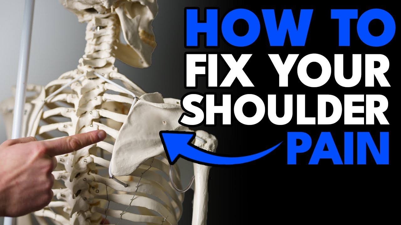 Fix Shoulder Pain FAST! The Ultimate Guide to Shoulder Impingement ...