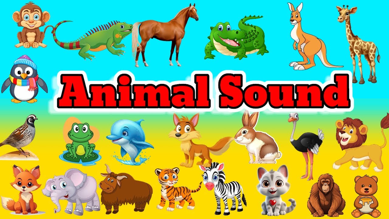 Animal Alphabet Fun | ABC Zoo Friends l Alphabet Song For Kids - YouTube
