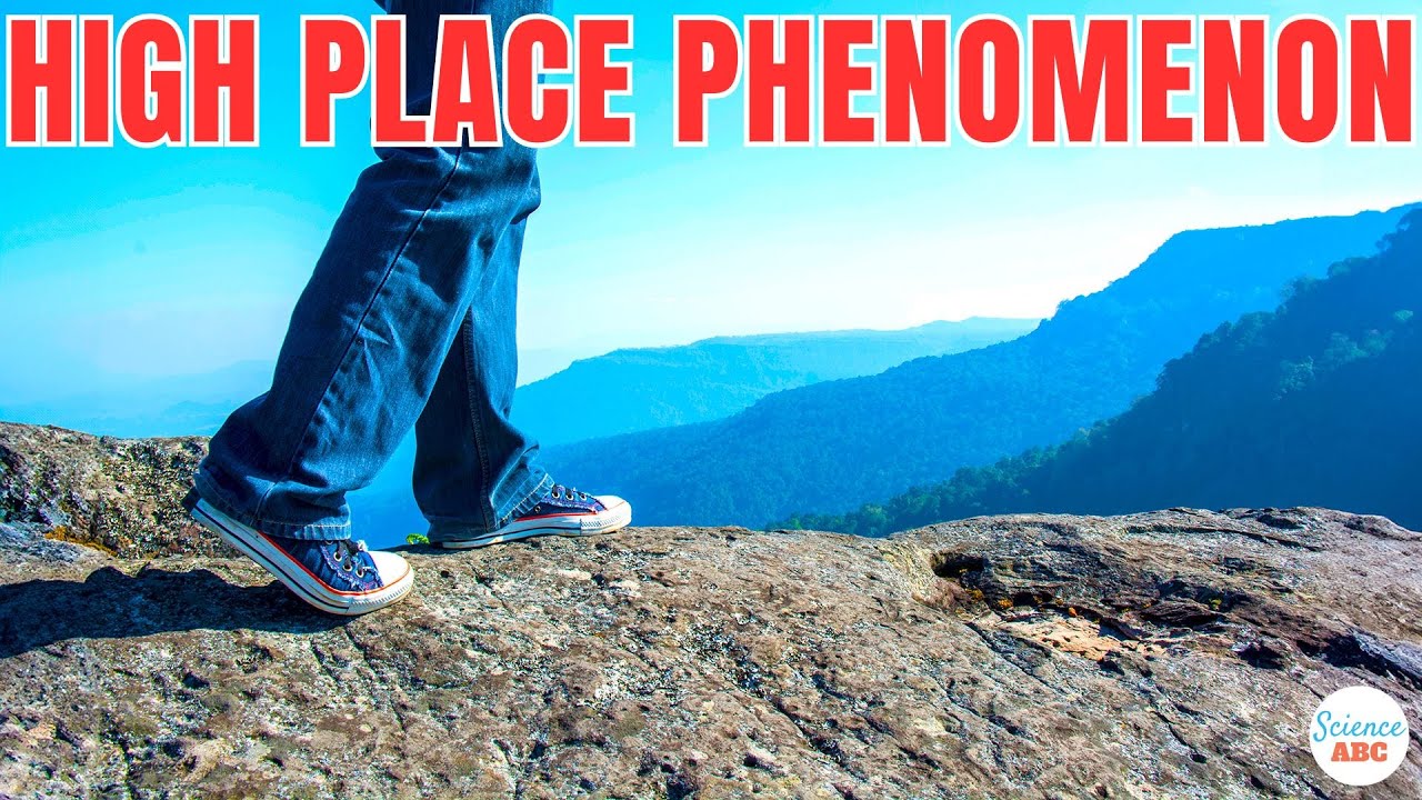 High Place Phenomenon: Why Do We Feel The “Urge To Jump”? - YouTube
