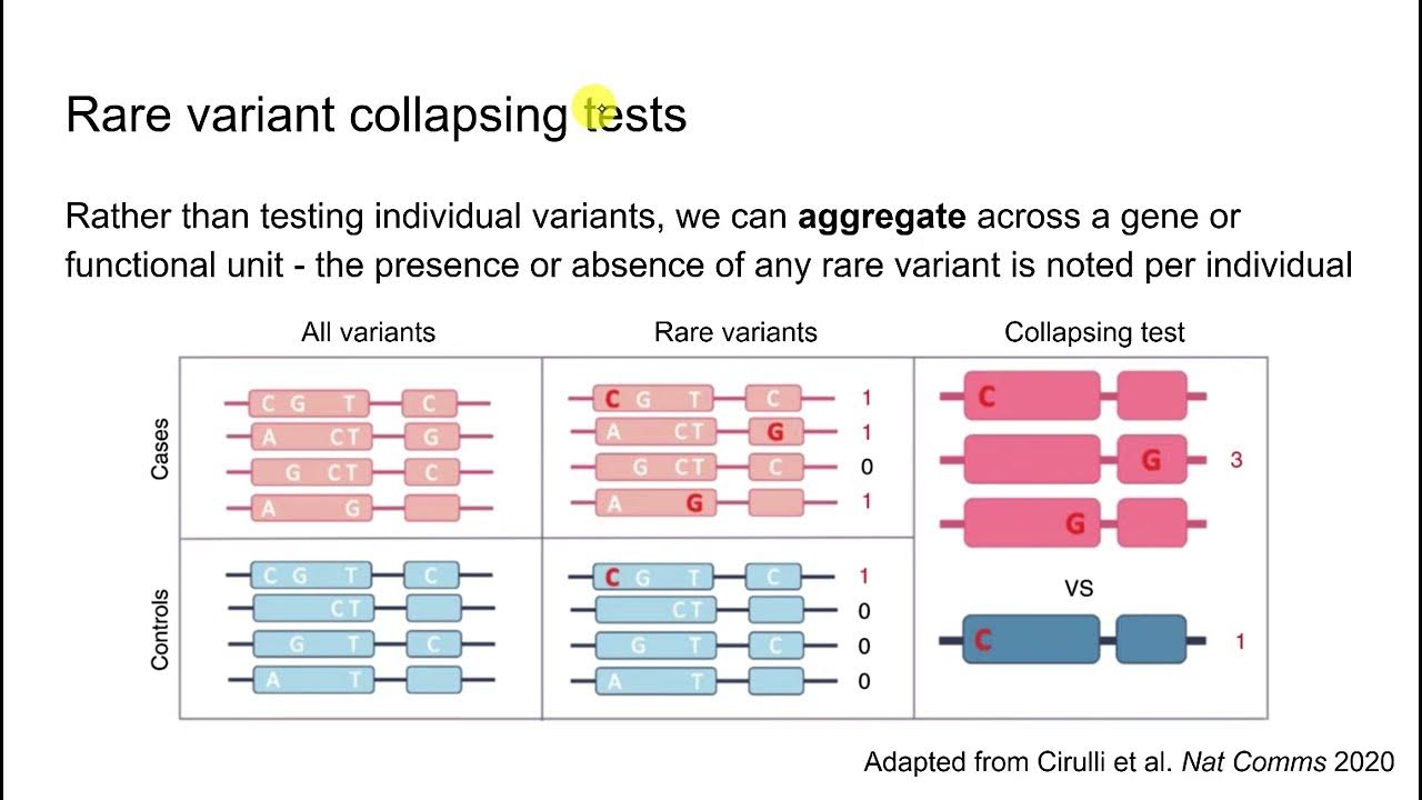 Intro to Rare Variant Association Analysis | University of Oxford - YouTube