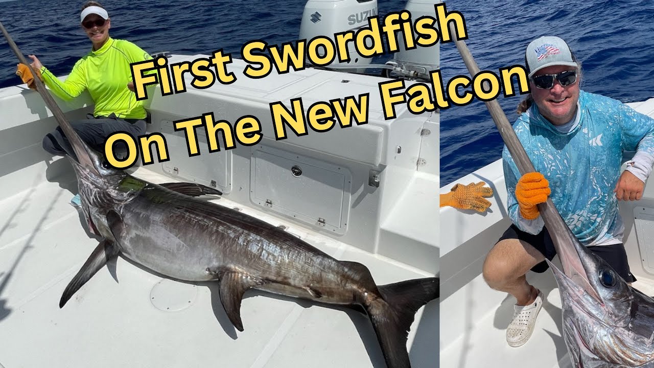 First Swordfish On The New Falcon, How To, Catch Clean and Cook! - YouTube