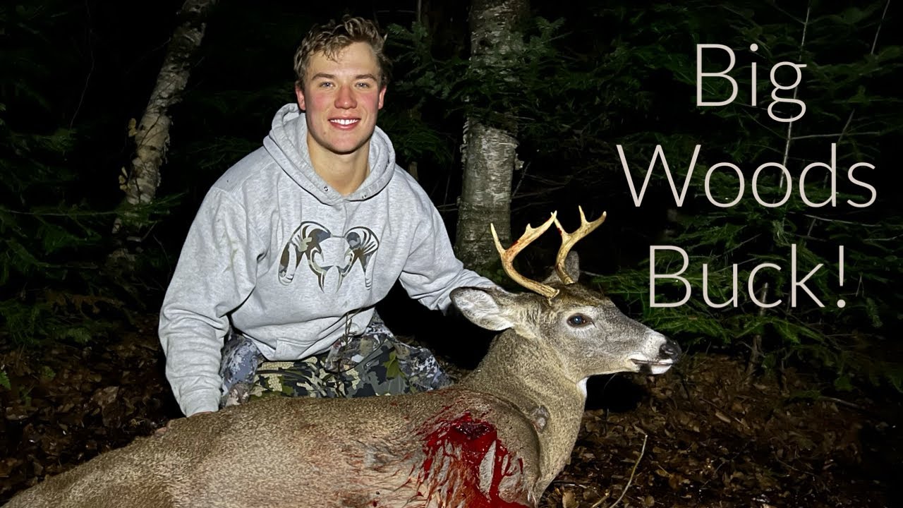 Northern Wisconsin Public Land Bow Hunting (11-7-24) - YouTube