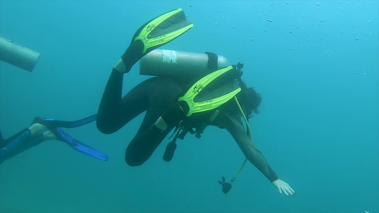 Isla Lobos - Mexico Diving Adventures - YouTube