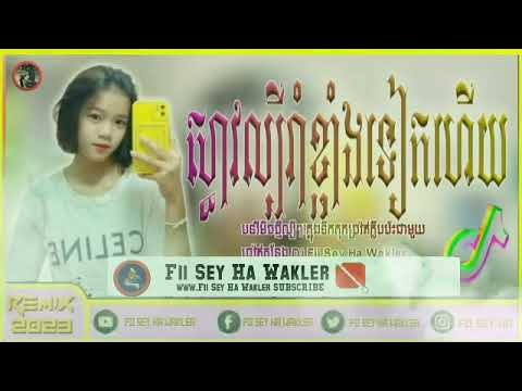 🔴Remix2022,បទថ្មីជីវិតថ្មីល្បីក្នុង tik tok Remix2023, Fii Sey Ha Wakler បទល្បីក្នុង Hip Hop 😎 ...