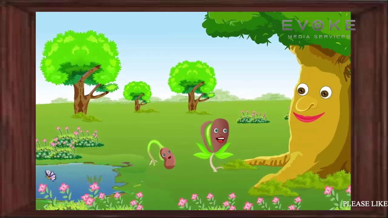 Lovely Seeds || Rhyme - YouTube