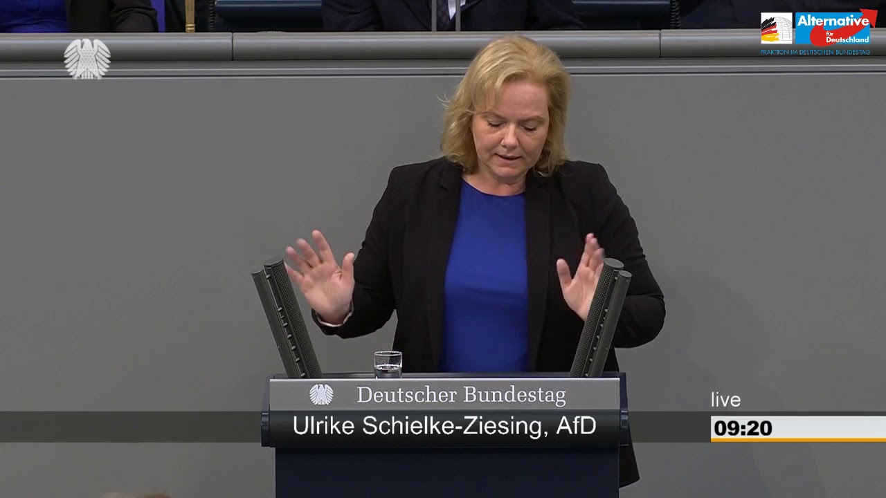 "Sozialstaat und offene Grenzen gehen nicht zusammen!" - Ulrike ...