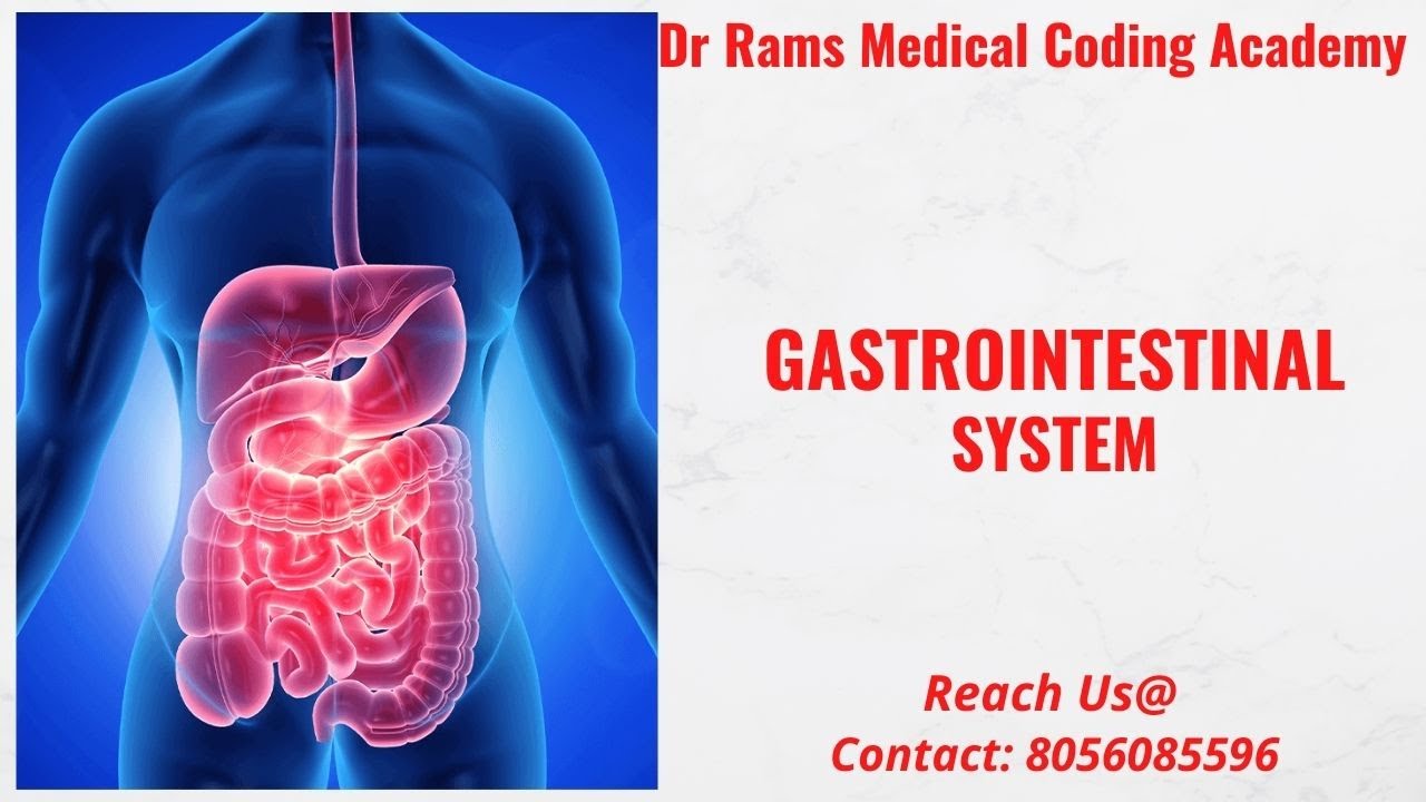 Gastrointestinal System | Medical Coding | - Dr Rams Medical Coding ...