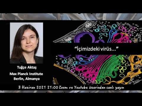Çekirdek Konuşmaları Tuğçe Aktaş