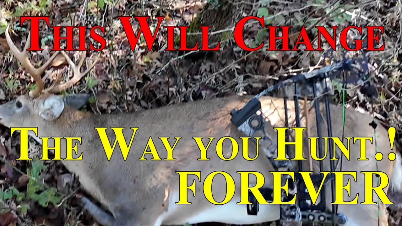 Deer Movement Study, this will change the way you HUNT forever ! - YouTube