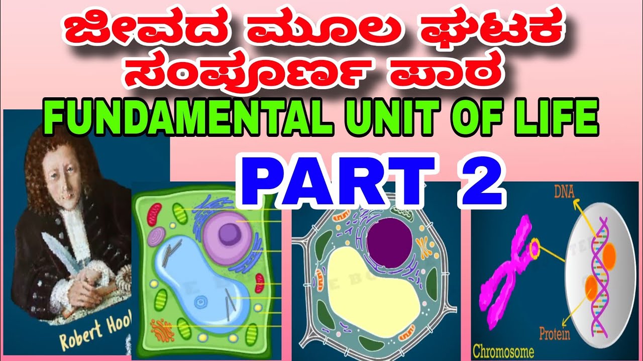9th CLASS SCIENCE CHAPTER 5 PART 2 9th-class-science-chapter-5-part-2