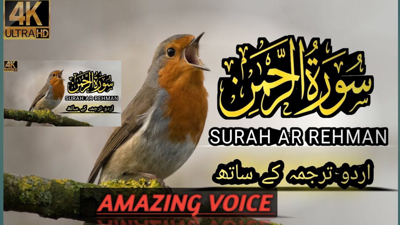 Surah Rahman Urdu Tarjuma k Sath |Qari Al Sheikh Abdul Basit Abdul ...
