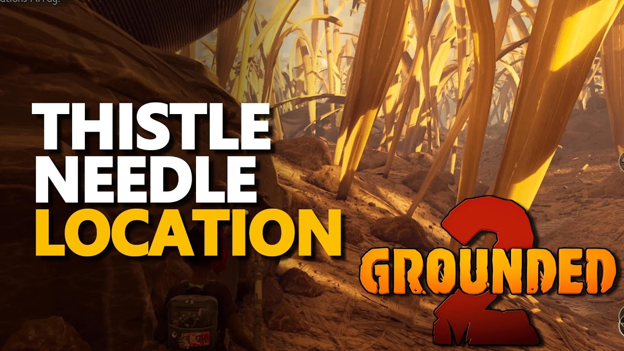 Thistle Needle Location Grounded 2 - YouTube