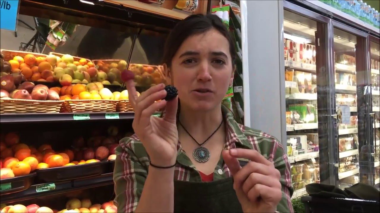 CSCH - Grocery Store Botany - Berries - YouTube
