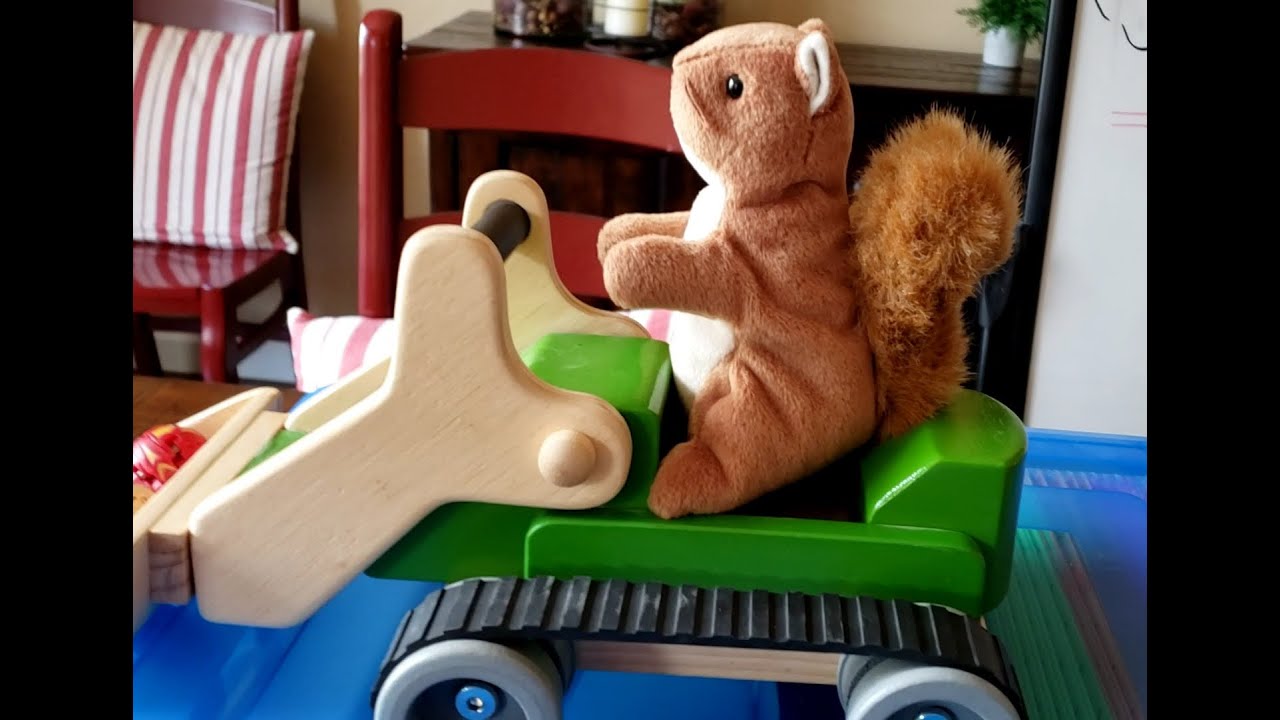 STEM Challenge for Squirrels - YouTube