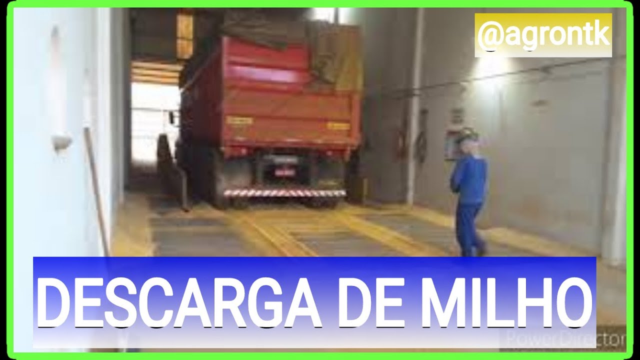 Descarga de milho no armazém com carreta caçamba basculante - YouTube