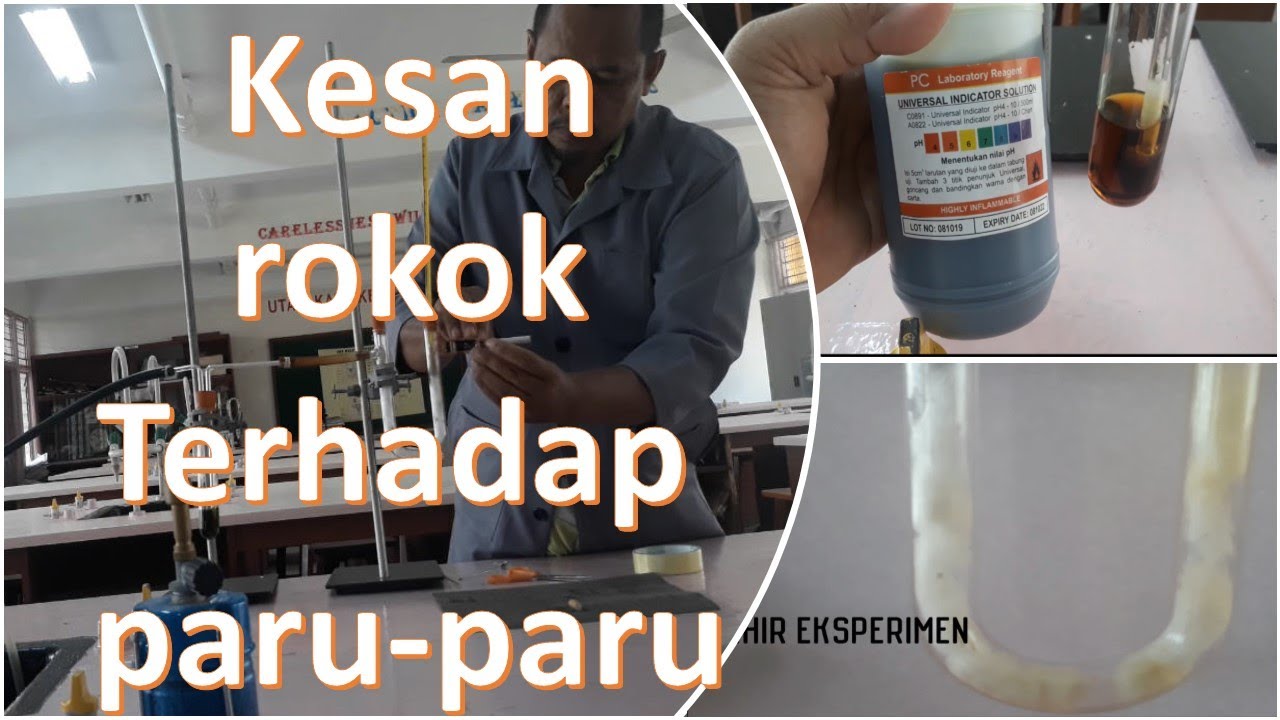 Kesan rokok terhadap paru-paru - YouTube