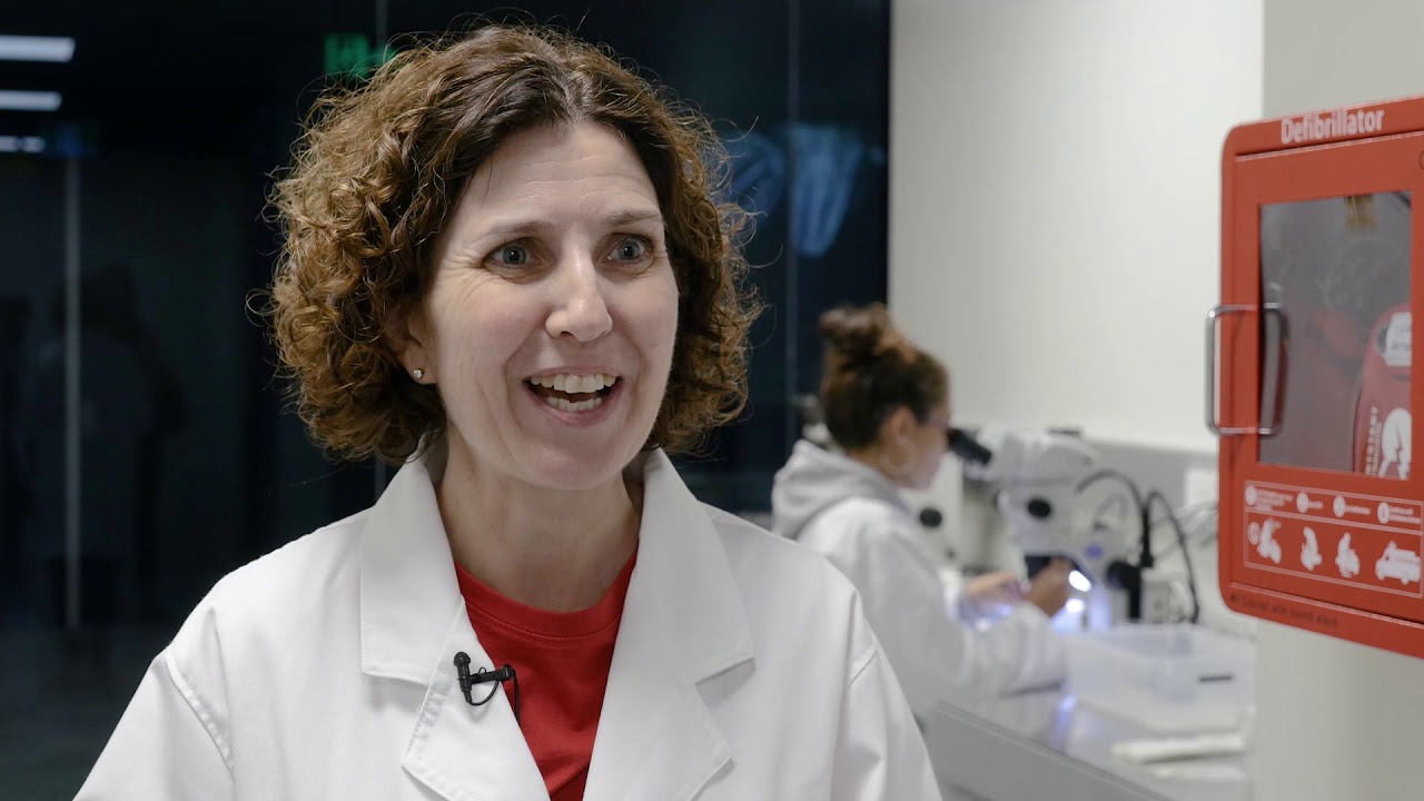 Sea Jelly Laboratory at SeaWorld - YouTube