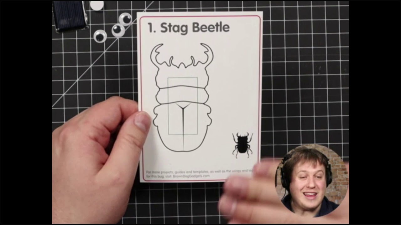 Solar Bug STEM Project from Nasco Education - YouTube