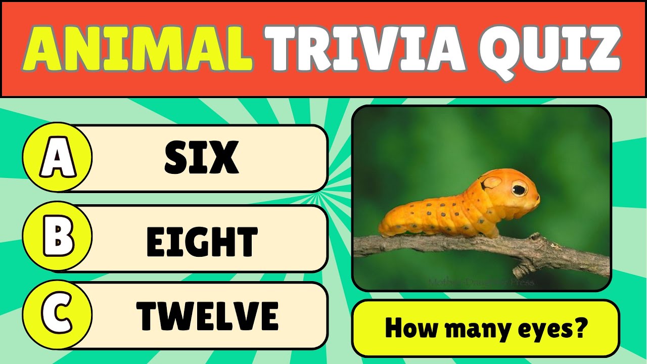 Animal Trivia Quiz | 20 ANIMAL TRIVIA Questions and Answers - YouTube