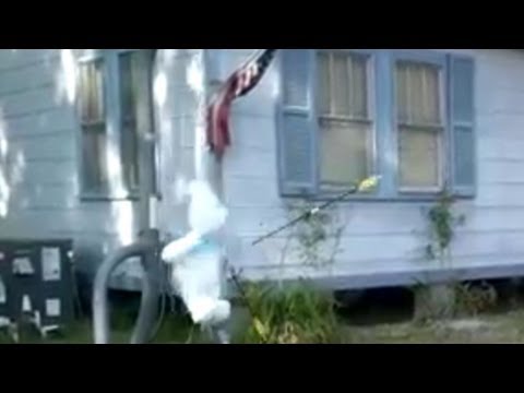 Redneck Easter Bunny Shoot! Poor rabbit - YouTube