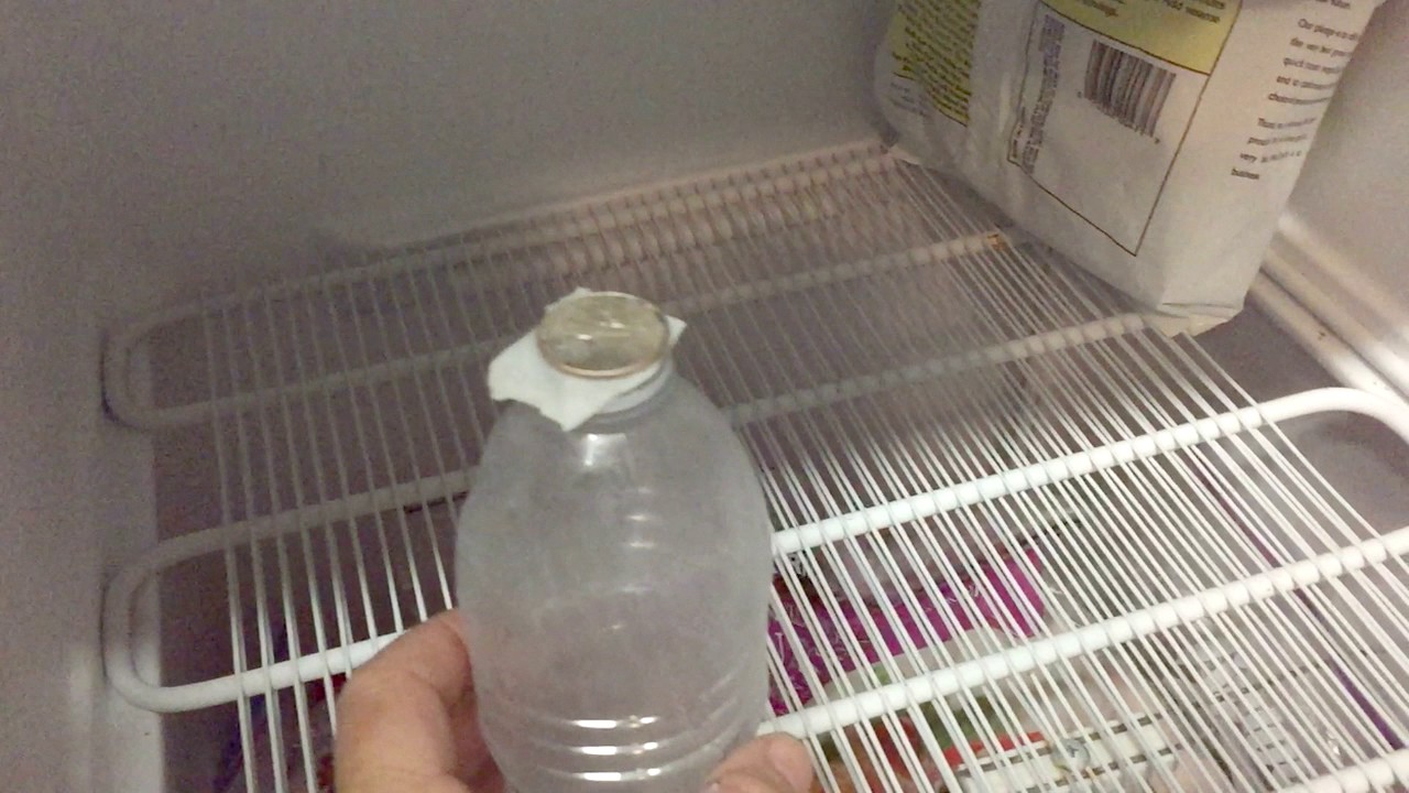 Coin launcher Experiment - YouTube