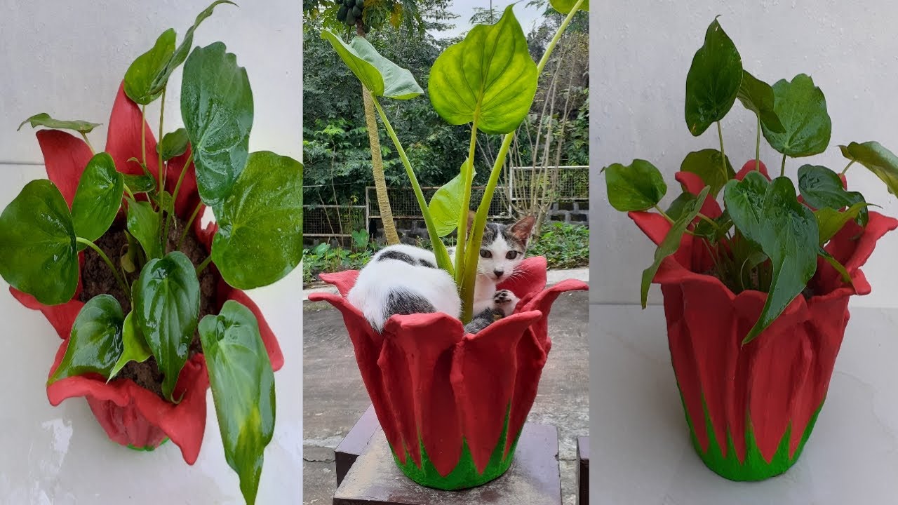 DIY FLOWER DESIGN POT | CEMENT CRAFT IDEAS | EASY STEPS TUTORIAL! - YouTube