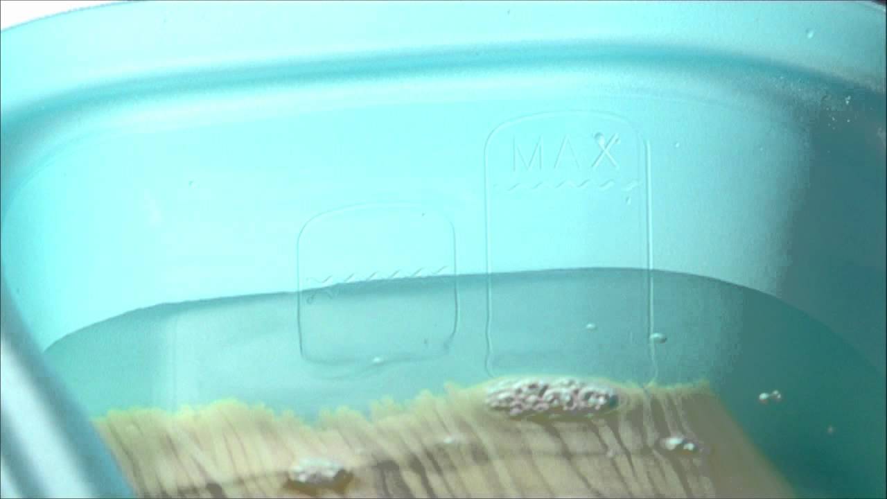 Cuit-pâtes micro-ondes Tupperware® - YouTube