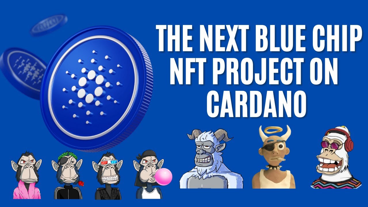 The Next Blue Chip NFT Project on Cardano - YouTube