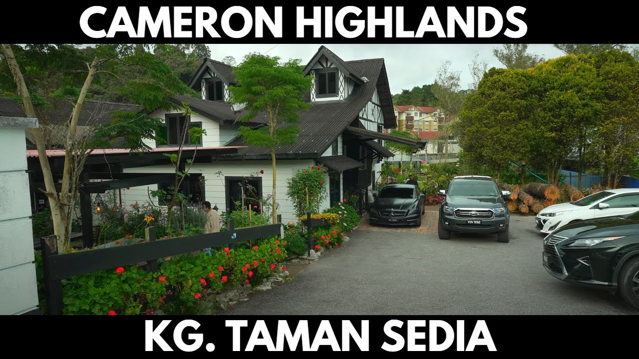 KAMPUNG TAMAN SEDIA | CAMERON HIGHLANDS | PART 1 | 4K - YouTube