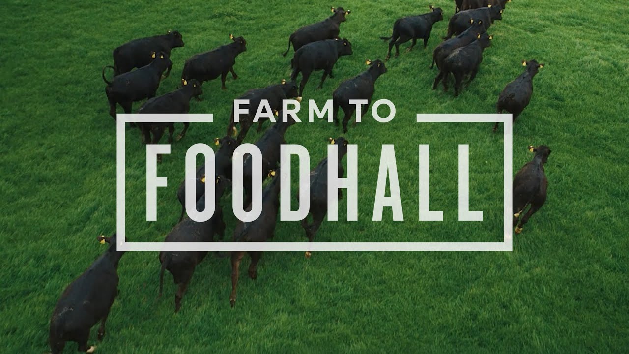 100% Traceable M&S Beef | Farm to Foodhall | M&S FOOD - YouTube