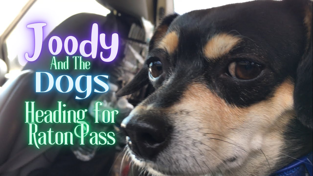 Joody and the Dogs Heading for Raton Pass - YouTube