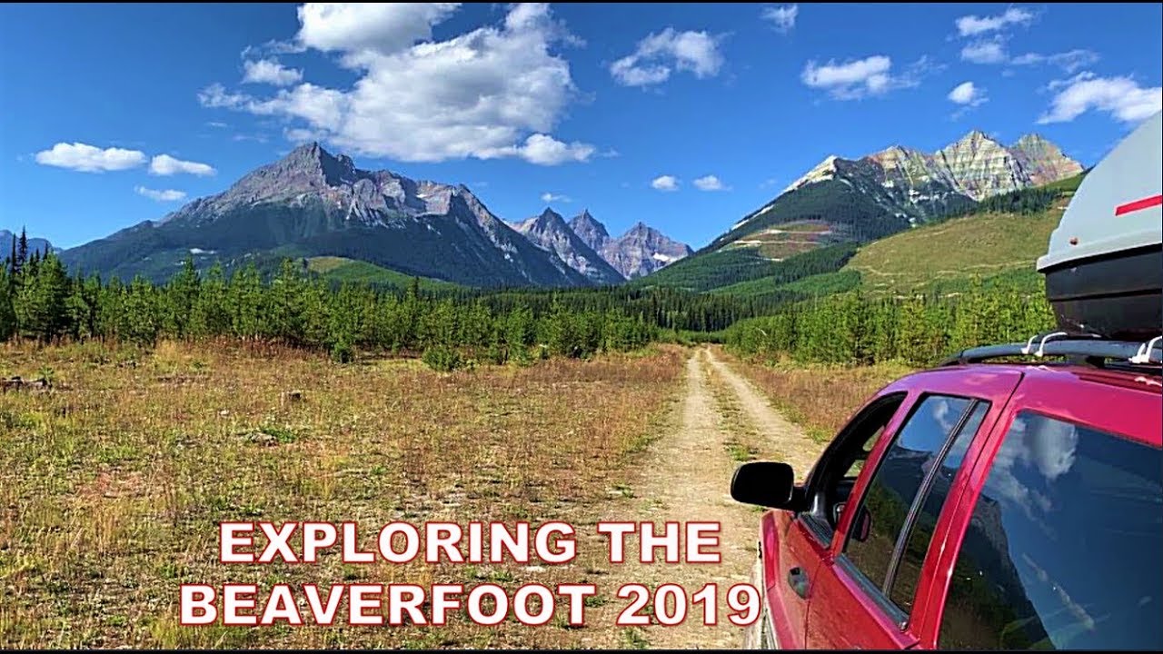 EXPLORING THE BEAVERFOOT FORESTRY ROAD 2019 - YouTube