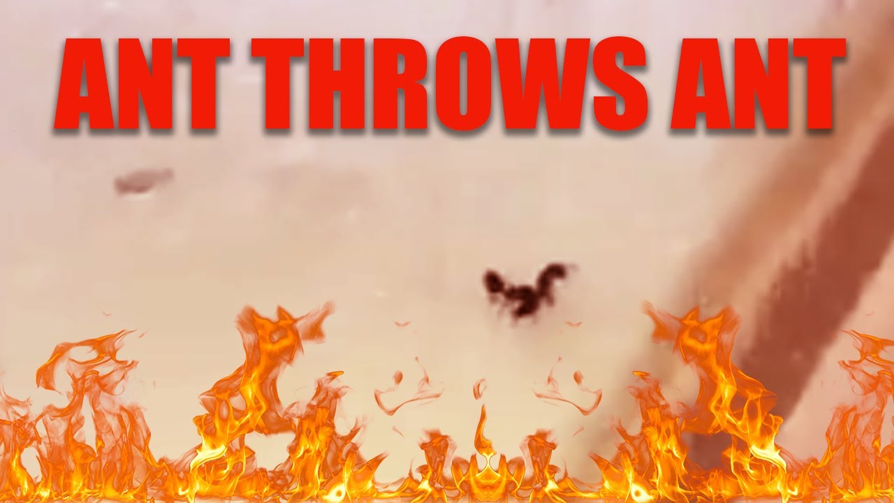 Ant Throws Ant - YouTube