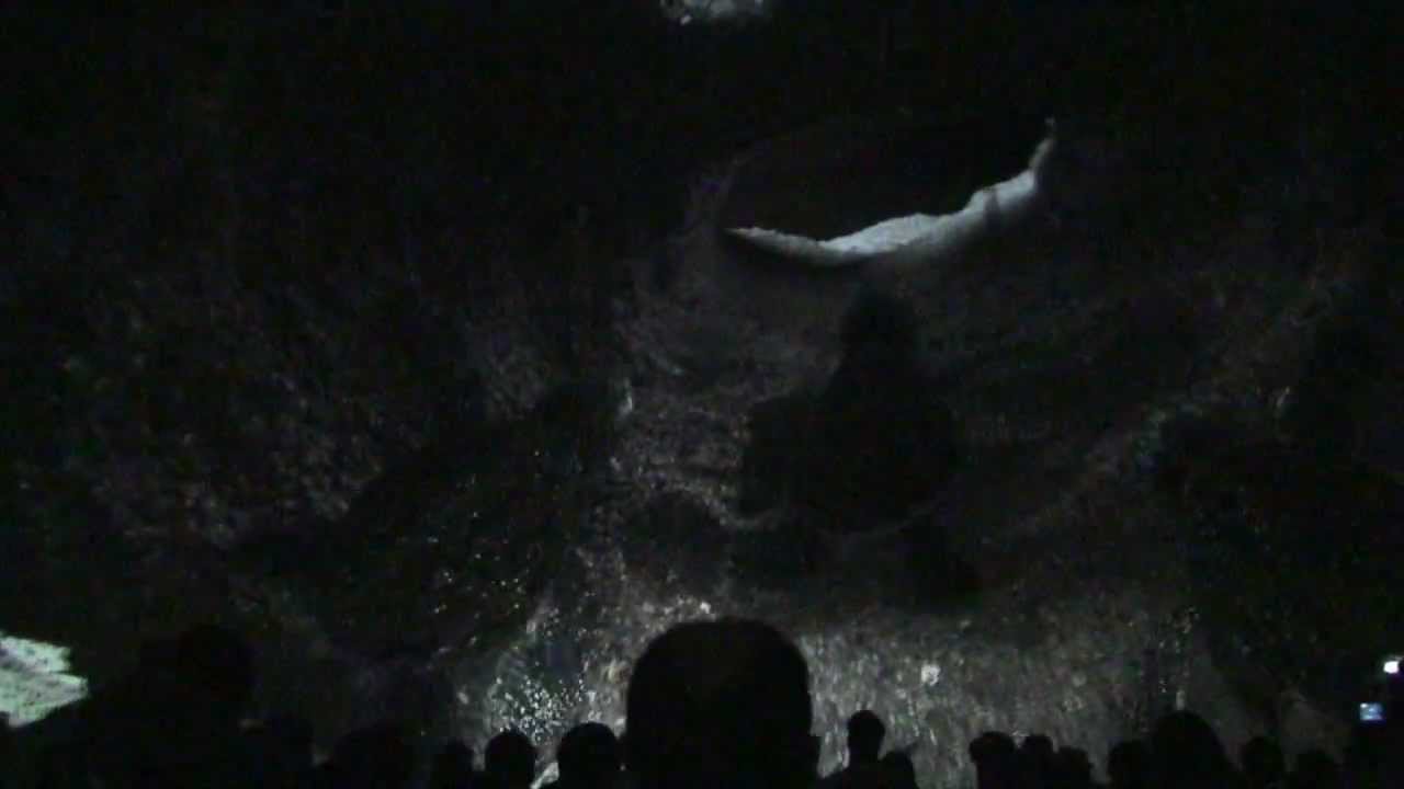 TurtleTrek SeaWorld Orlando, Full Show HD, Opening Day 4/27/12 3D 360 ...