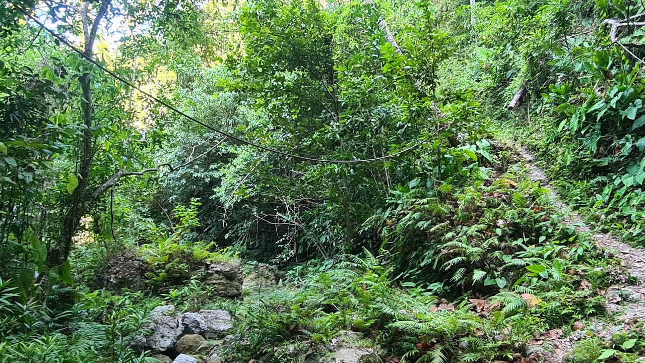 Cangbangag Falls ° Extended | Larena | Siquijor | Philippines - YouTube