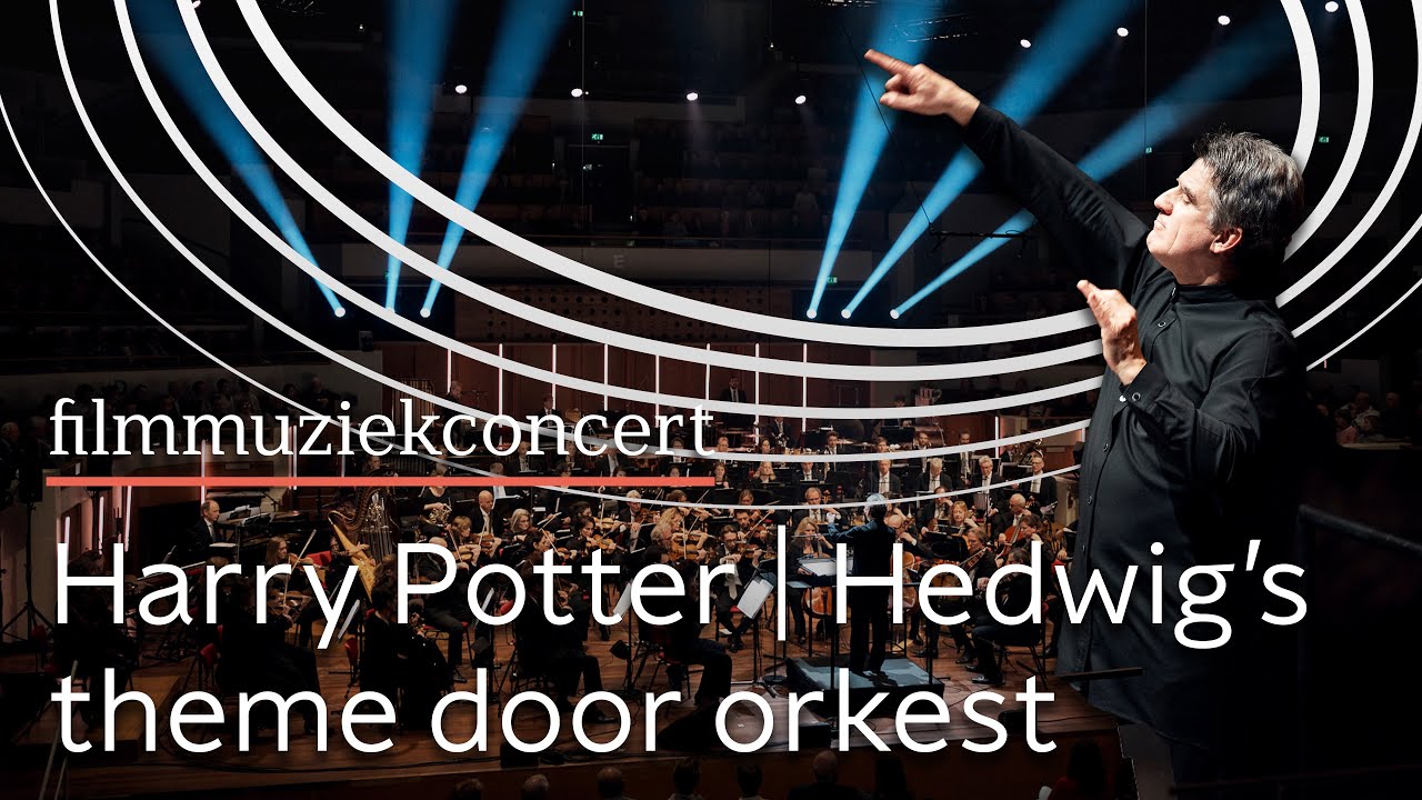 Williams: Hedwig's theme (Harry Potter) | Radio Filharmonisch Orkest o ...