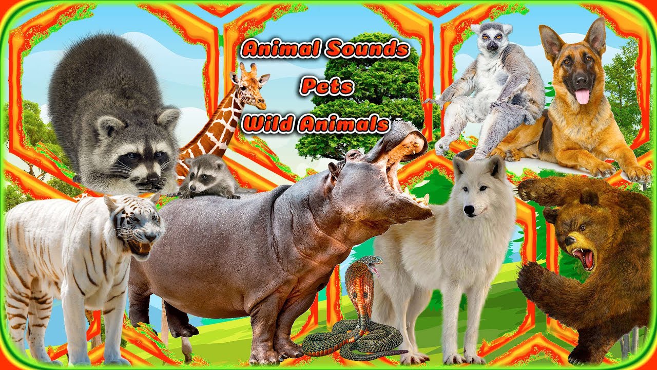 Animal Sounds • Farm Animals • Wild Animals • Text and Animal Names ...