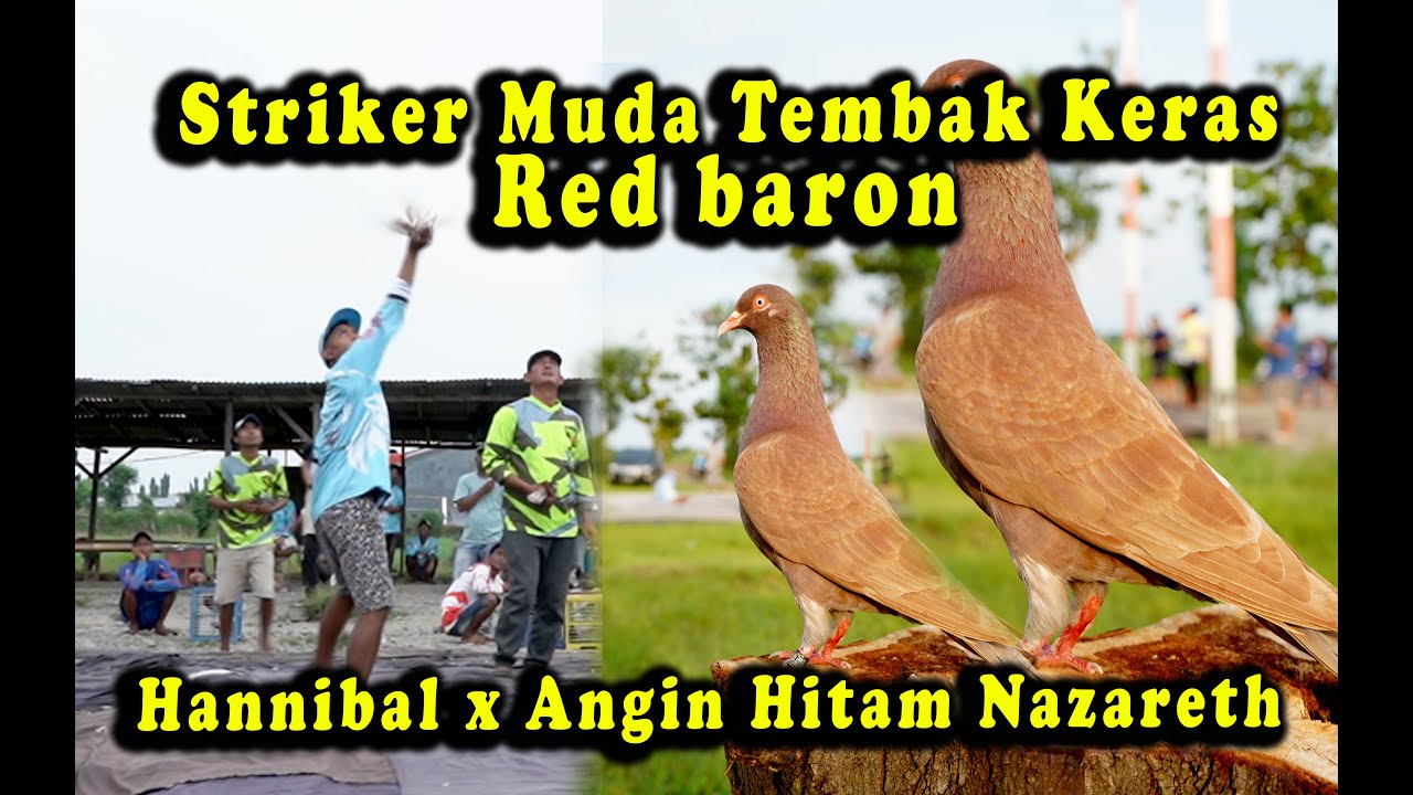Generasi Muda, RED BARON, Anak Hannibal Cucu Angin Hitam - YouTube