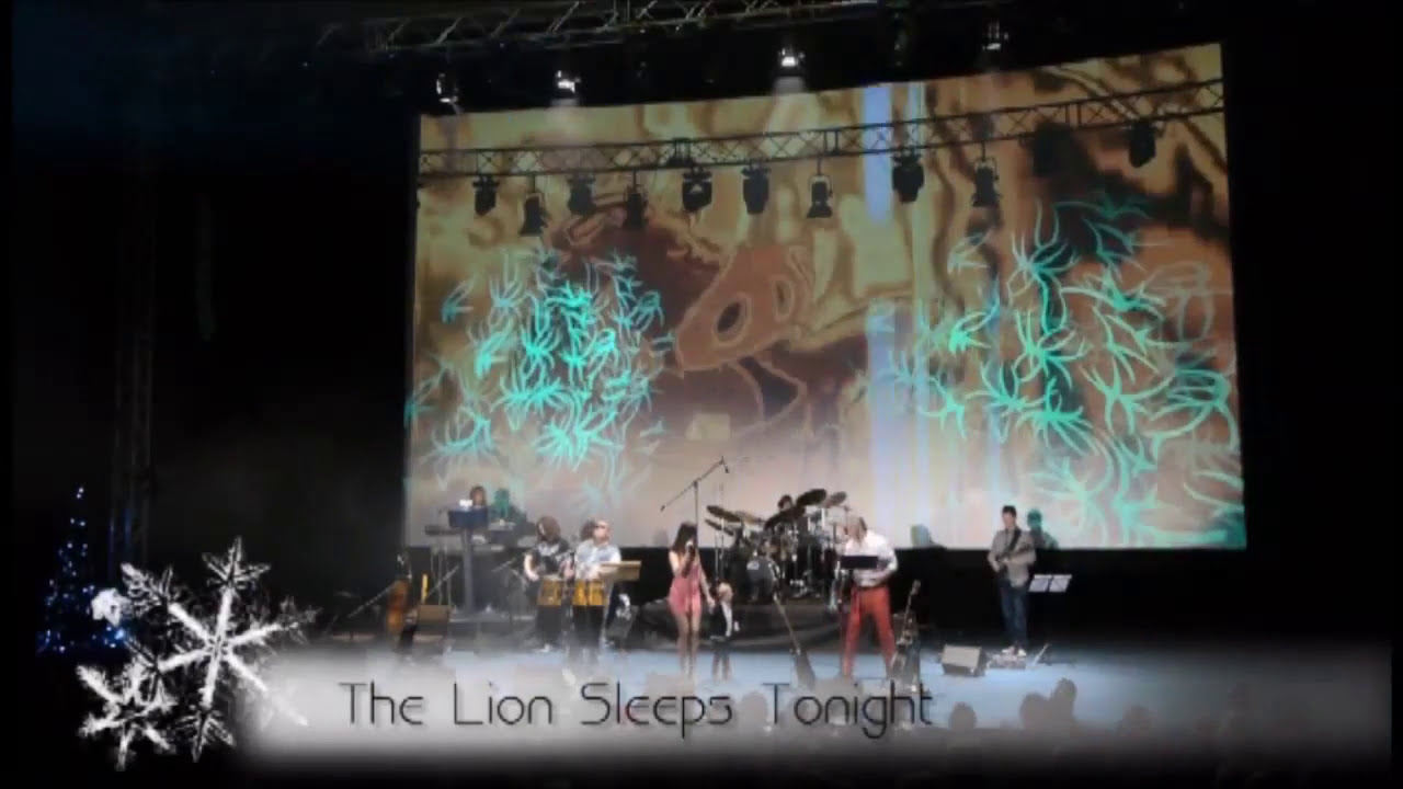 The Lion Sleeps Tonight Cover 80 Factory 80 s Music YouTube the-lion-sleeps-tonight-cover-80-factory-80-s-music-youtube