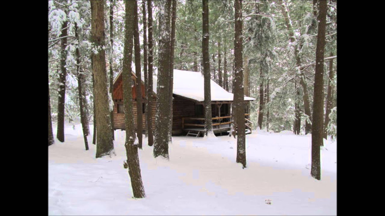 Cook Forest in Winter - YouTube