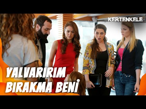 Ziya'nın hayali - Kertenkele 12. Bölüm