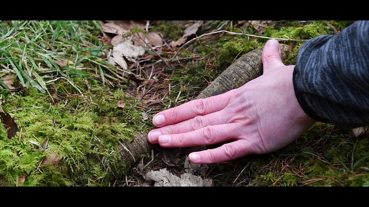 Badger Bytes - Paths - YouTube