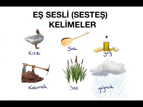 Eş Sesli Kelimeleri Anlamlarına Uygun Cümle İçinde Kullanma
