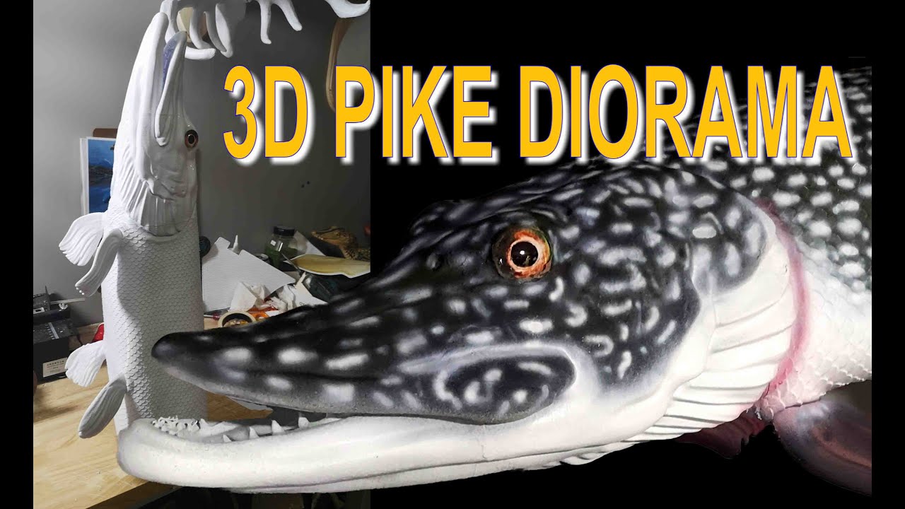 LARGE PIKE WALL DIORAMA #fishing #3dprinting #pikefishing # ...