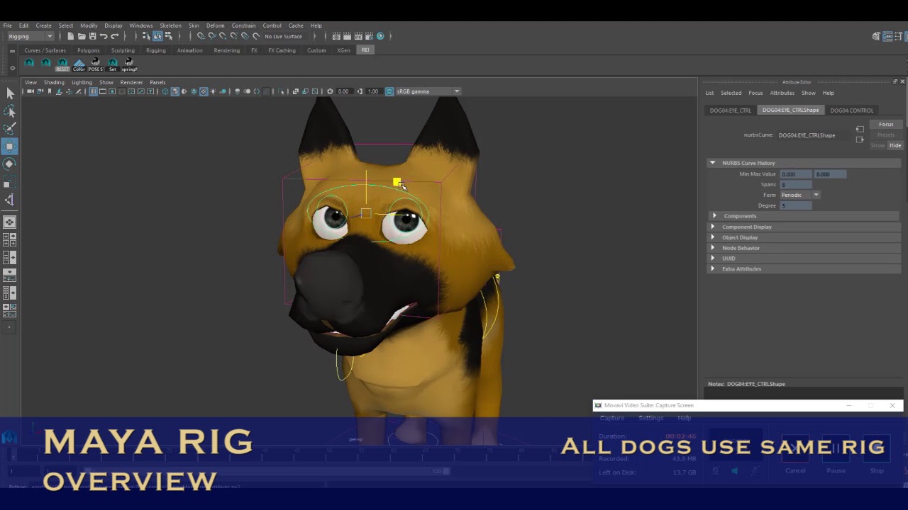 DOG MAYA RIG OVERVIEW - YouTube