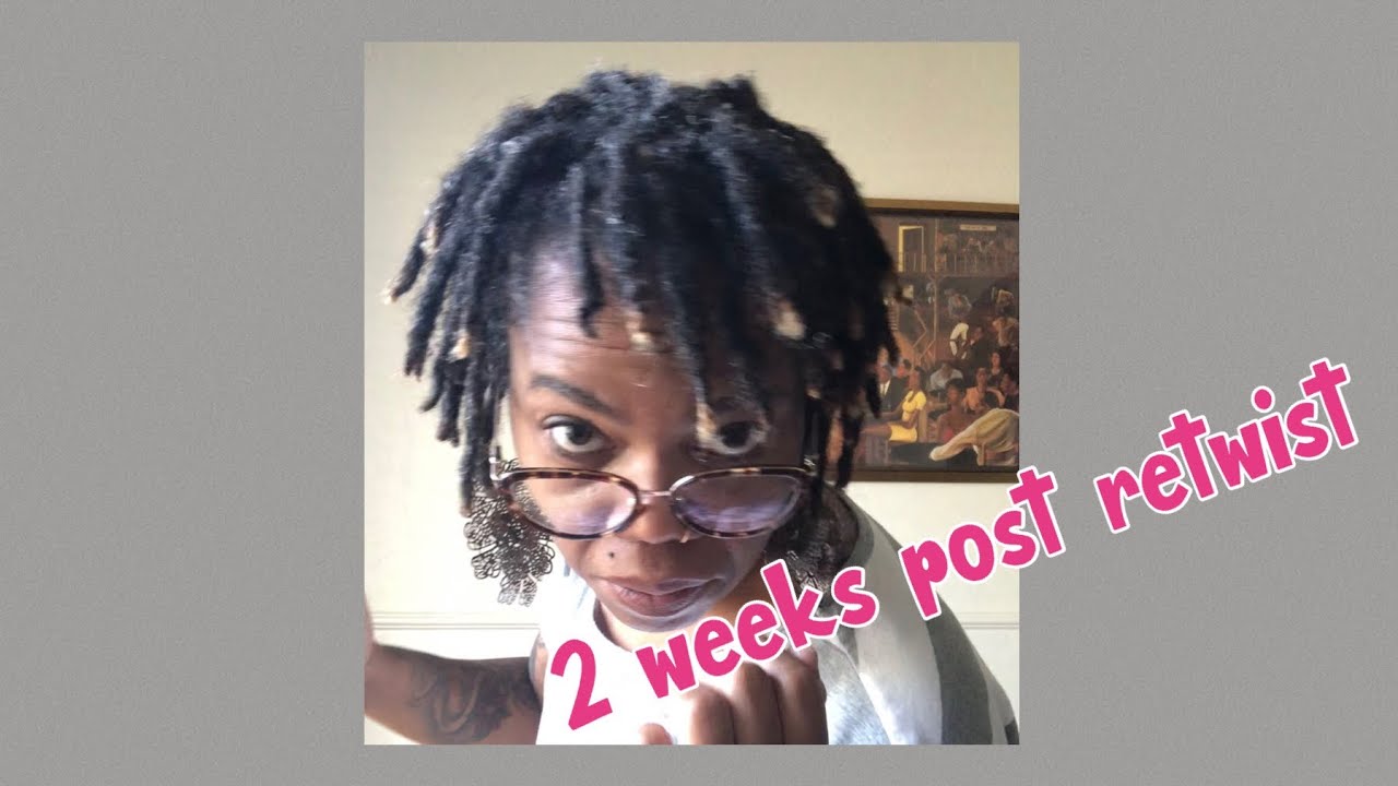 7 3/4 mo loc update, 2 weeks post retwist || starter locs || loc ...